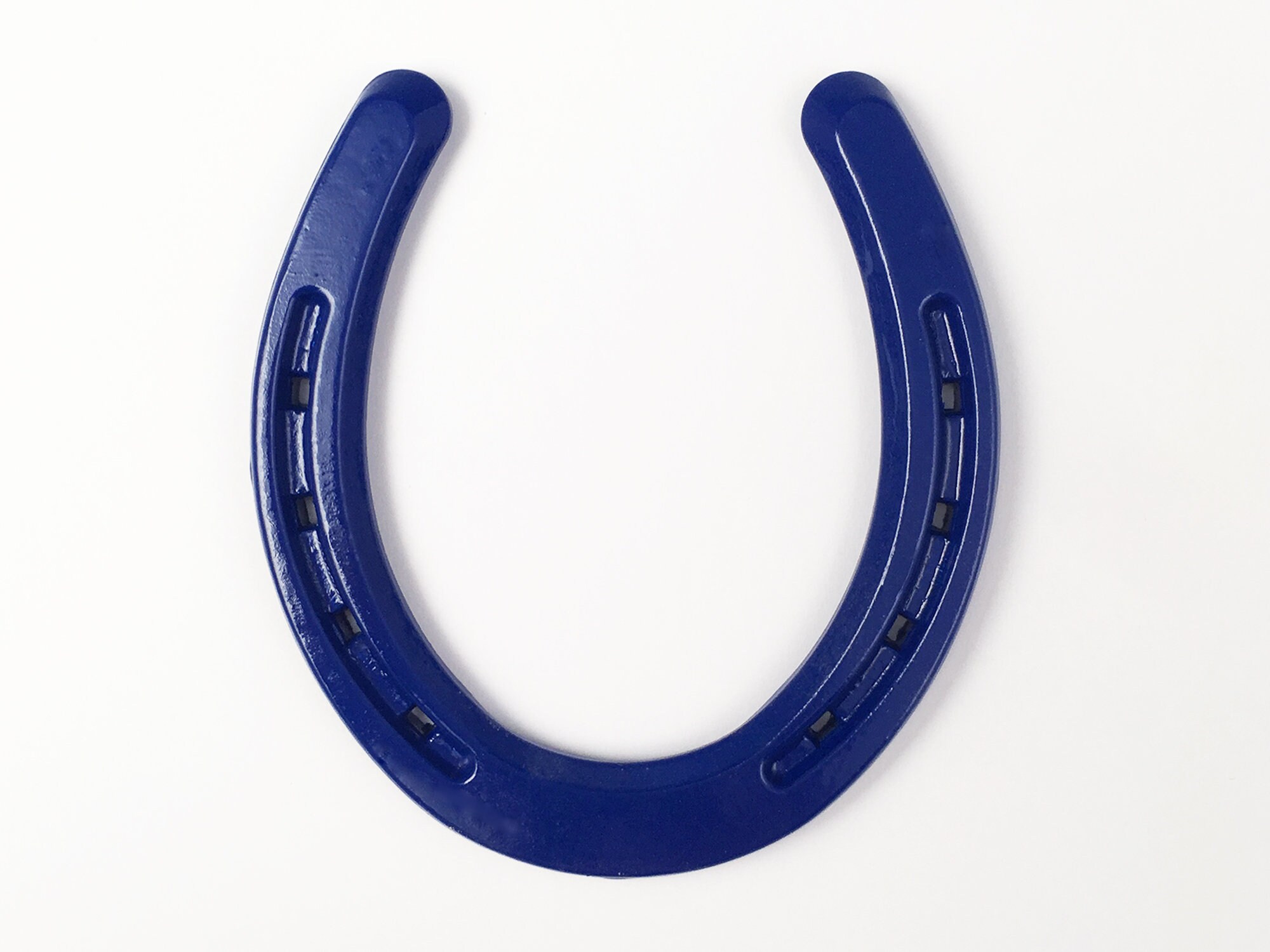 BLUE Horseshoe, Painted Horseshoe, Montana Lucky Horseshoe, Colorful ...