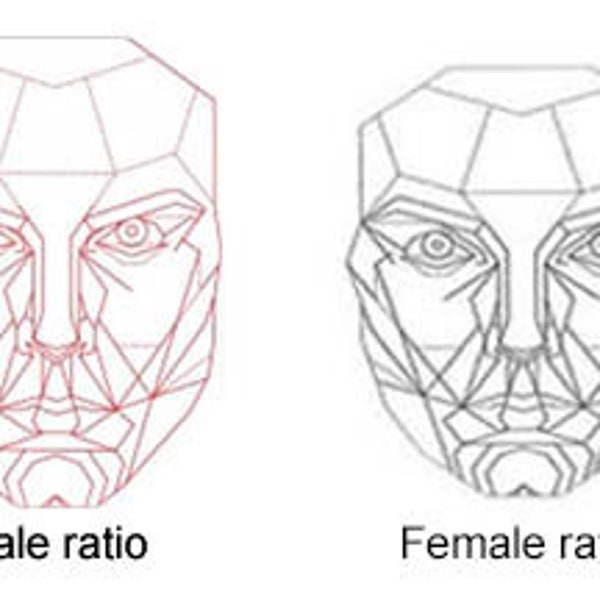 Face Golden Ratio - Etsy