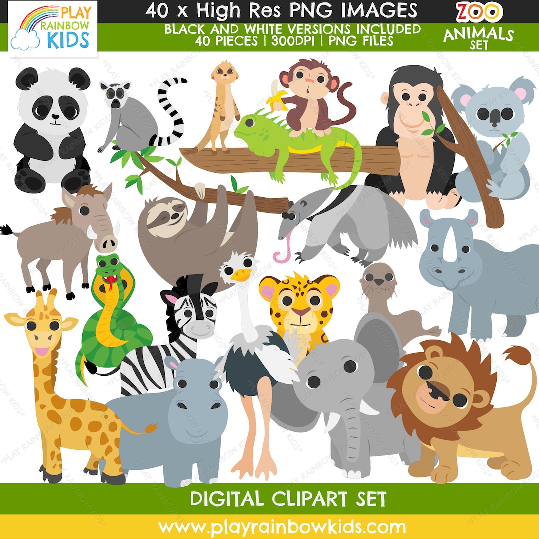 Zoo Animal Clipart Safari Clipart Instant Download - Etsy