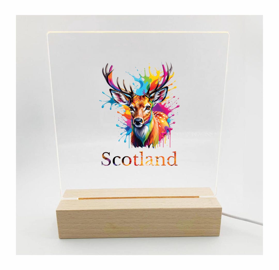 Scottish Design LED Night Light Desk Light up Sign Bedroom Office Décor ...