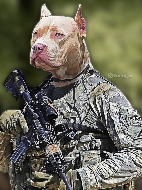 Funny Pets Series Army Special Forces Military Pet - Etsy