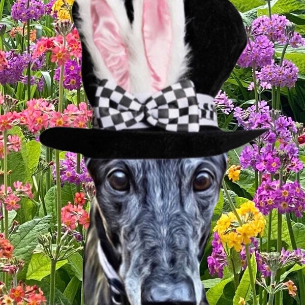 Greyhound Card - Etsy