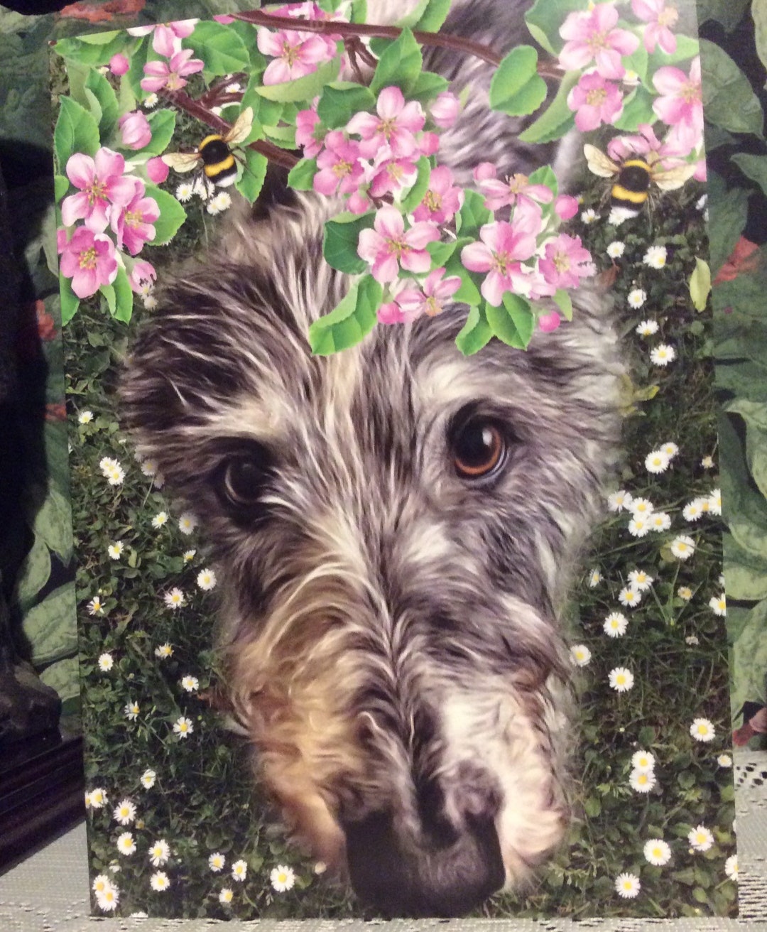 Scruffy Lurcher Greetings Card - Etsy