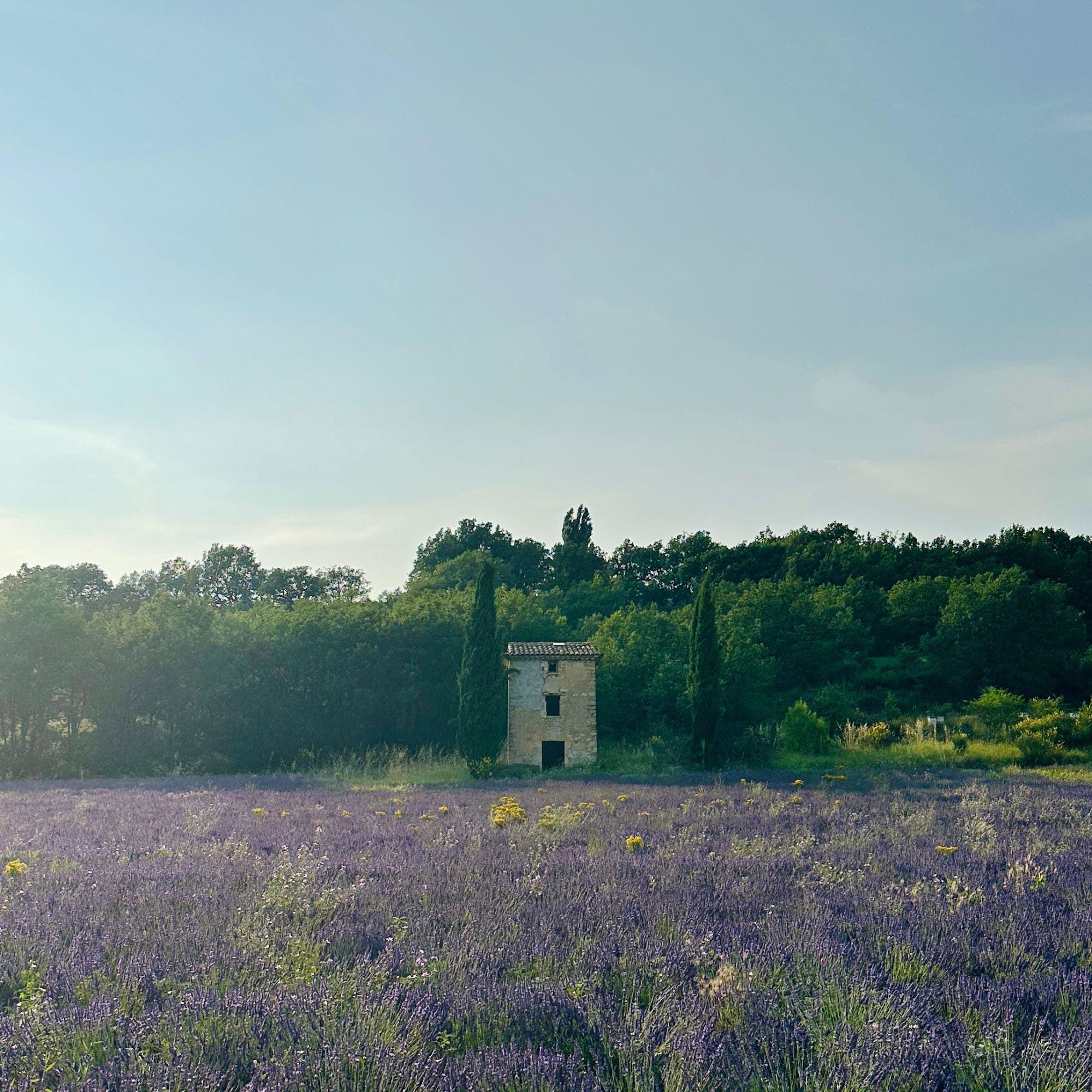 Terroir French Food Gift Box | Savoury Delights From Provence | Artisan ...