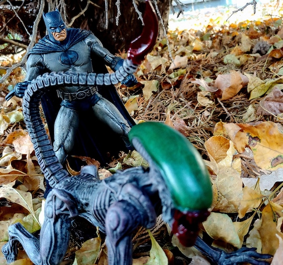 Xenomorph Vs Batman
