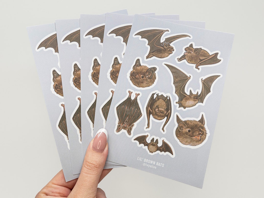 Little Brown Bat Adorable Vinyl Sticker Sheet - Nocturnal Cute Kawaii ...