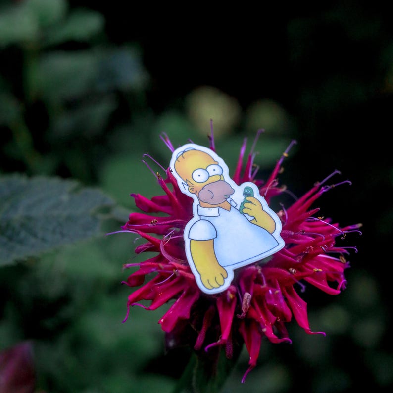 Homer Simpson Eating Pickle Rick Sticker - Funny Pop Culture Decal - Etsy