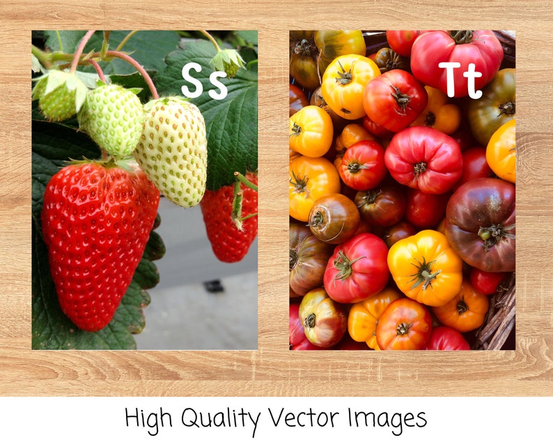 Fruit & Vegetable Alphabet Posters | Montessori Reggio A-Z Photo Cards ...