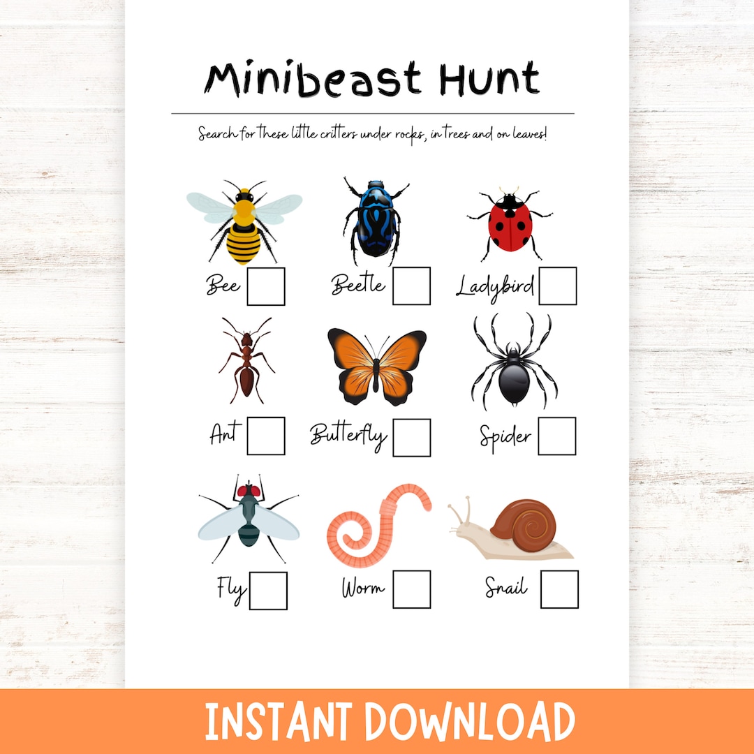 Mini-beast Hunt for Kids | Bug Scavenger Hunt, Insect I Spy Game ...