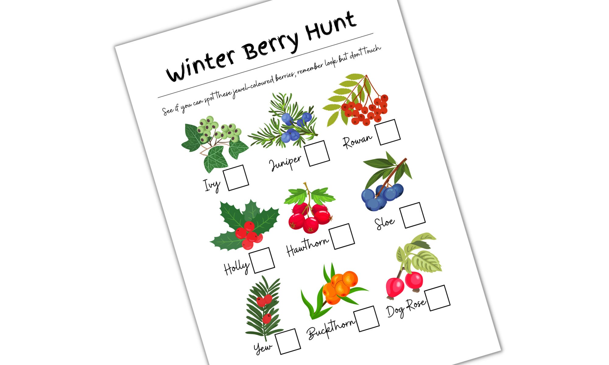 Winter Berry Hunt Winter Scavenger Hunt for Kids Winter Nature Hunt - Etsy