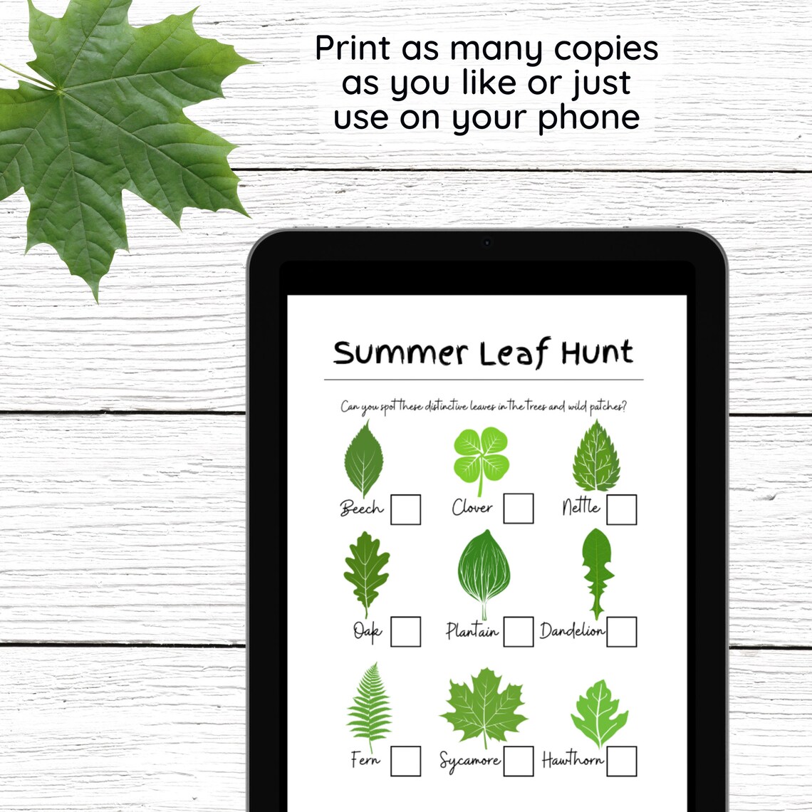 Summer Leaf Scavenger Hunt: Kids' Nature I-spy Game (instant Download ...