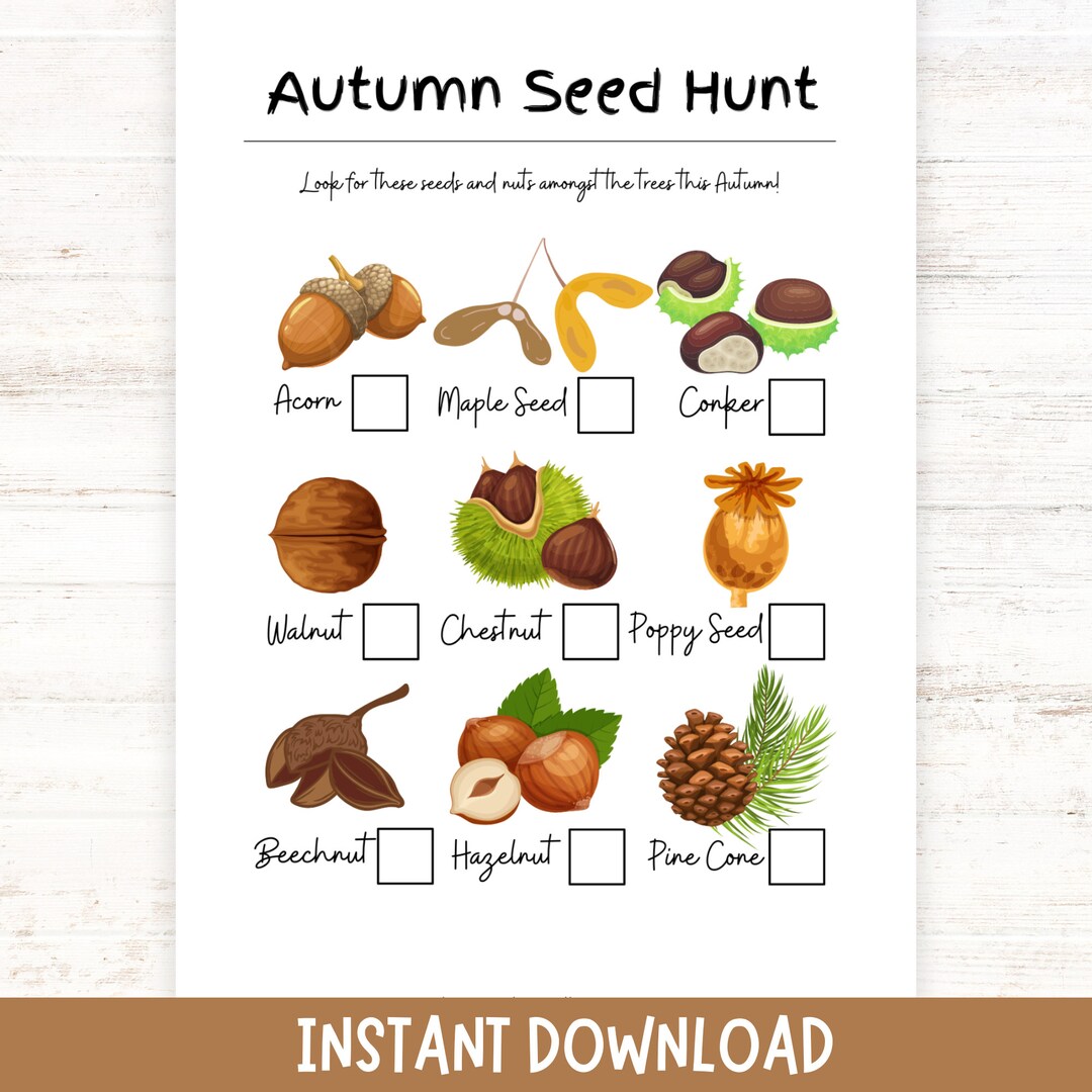 Autumn Seed Hunt Printable: Kids Autumn I-spy Activity (instant ...