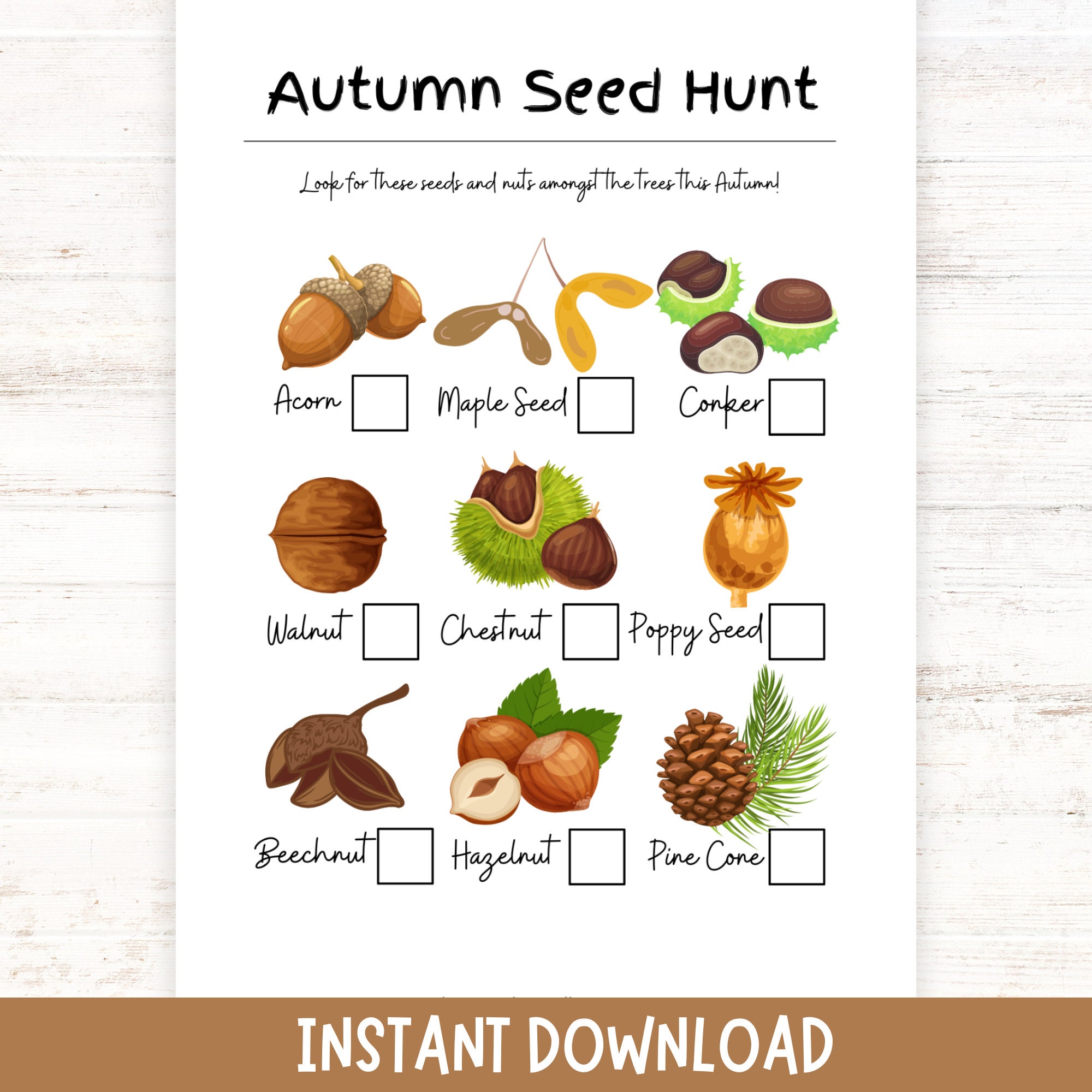 Autumn Seed Hunt | Kids Autumn Scavenger Hunt | Autumn I-spy | Download ...
