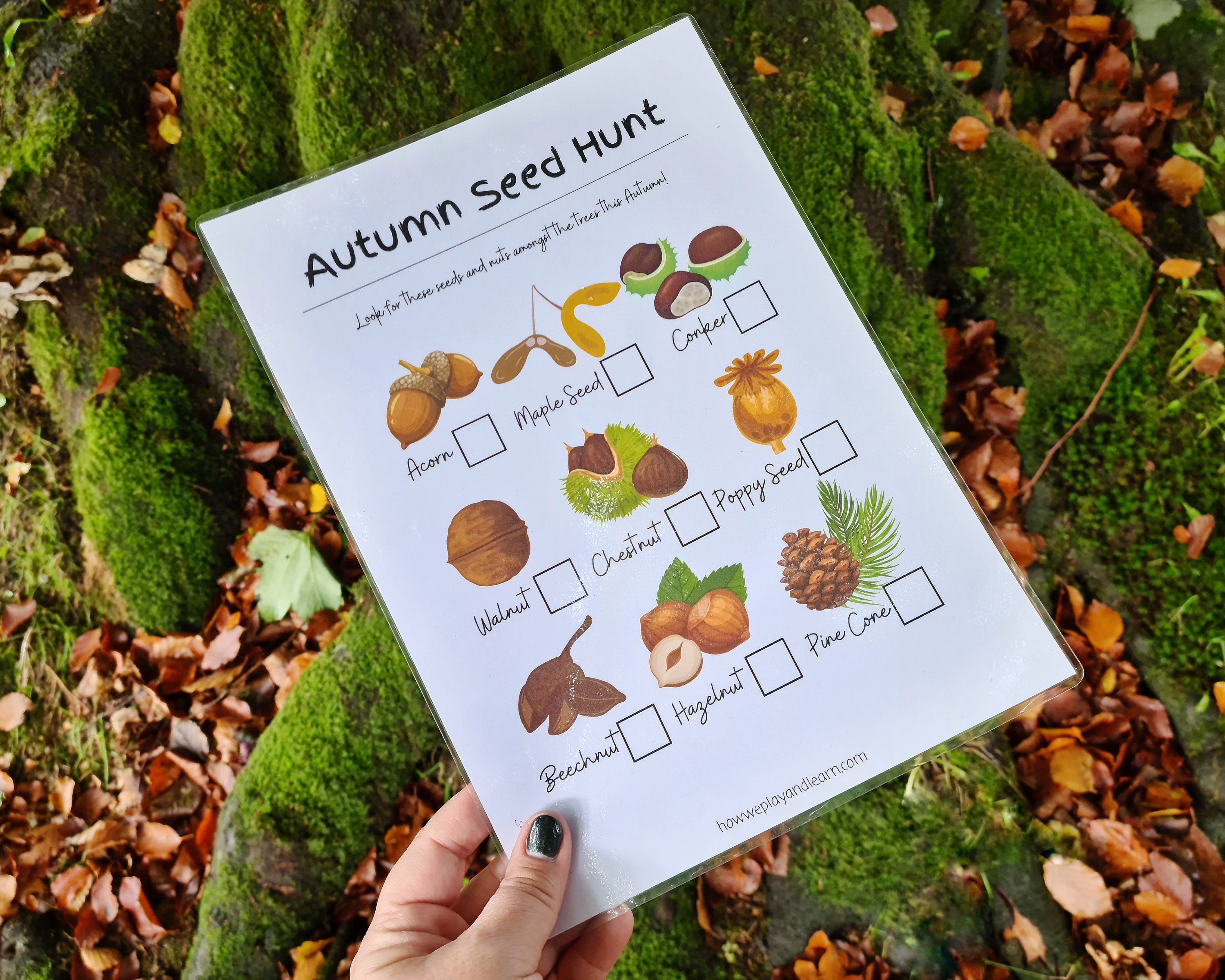 Autumn Seed Hunt | Kids Autumn Scavenger Hunt | Autumn I-spy | Download ...