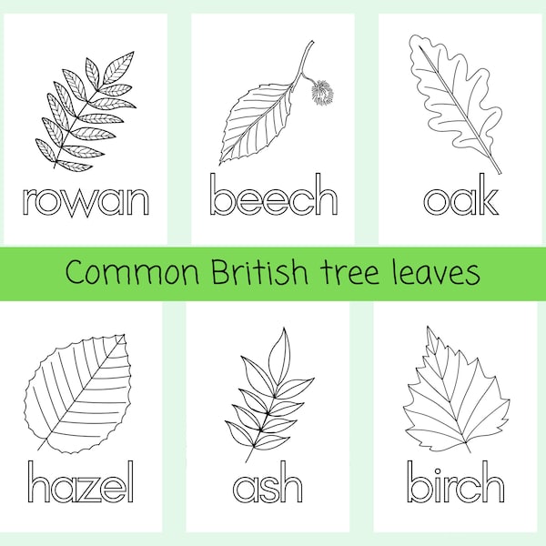 Positive Affirmation Colouring Pages Mindfulness Colouring Sheets ...