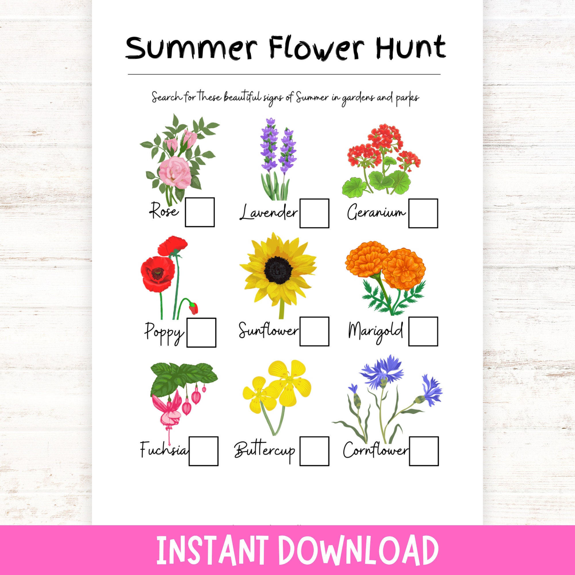 Summer Flower Hunt | British Floral Scavenger Hunt for Kids | Summer ...