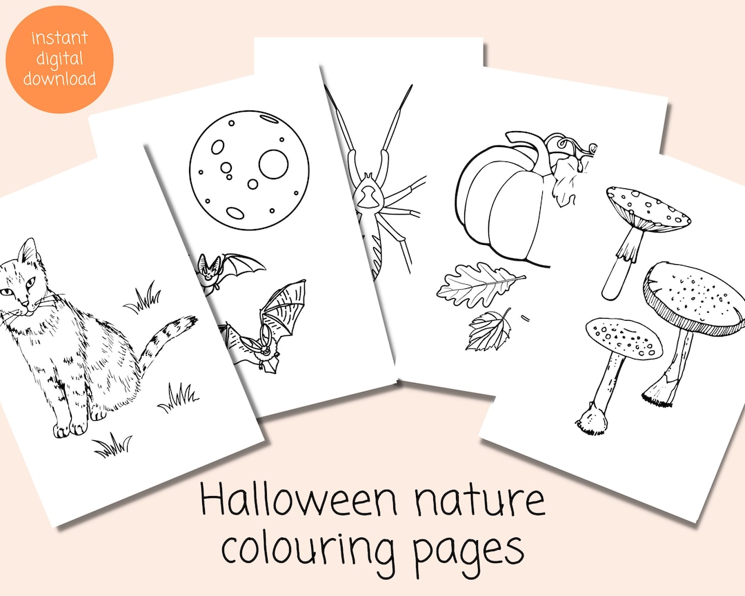 Halloween Wildlife Colouring Pages | Autumn Nature Colouring Sheets ...
