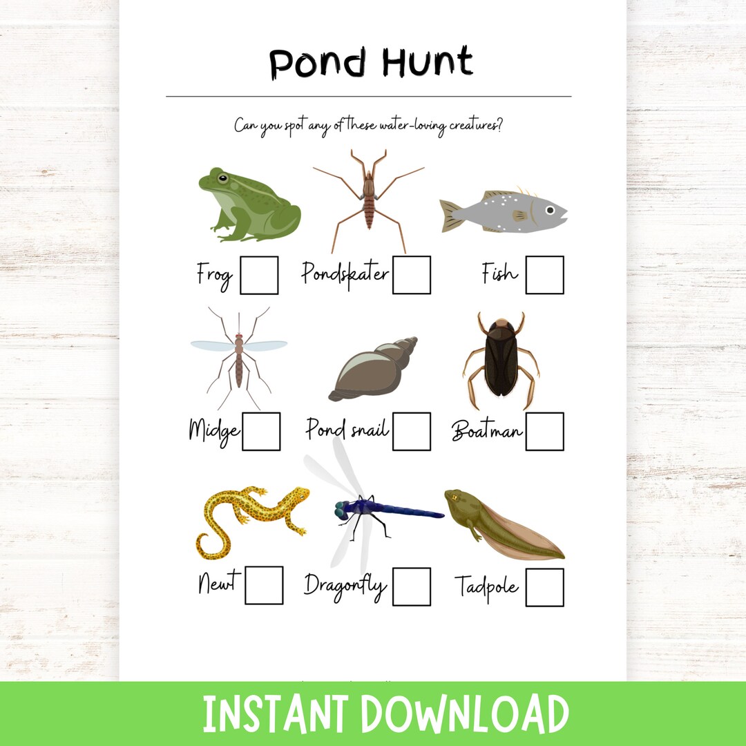 Pond Hunt | Pond Dipping Printable | British Wildlife Pond Spotter ...