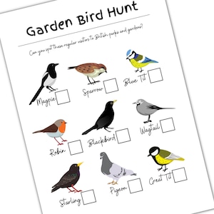 Bird Hunt Printable for Kids I-spy of Common British Garden Birds ...