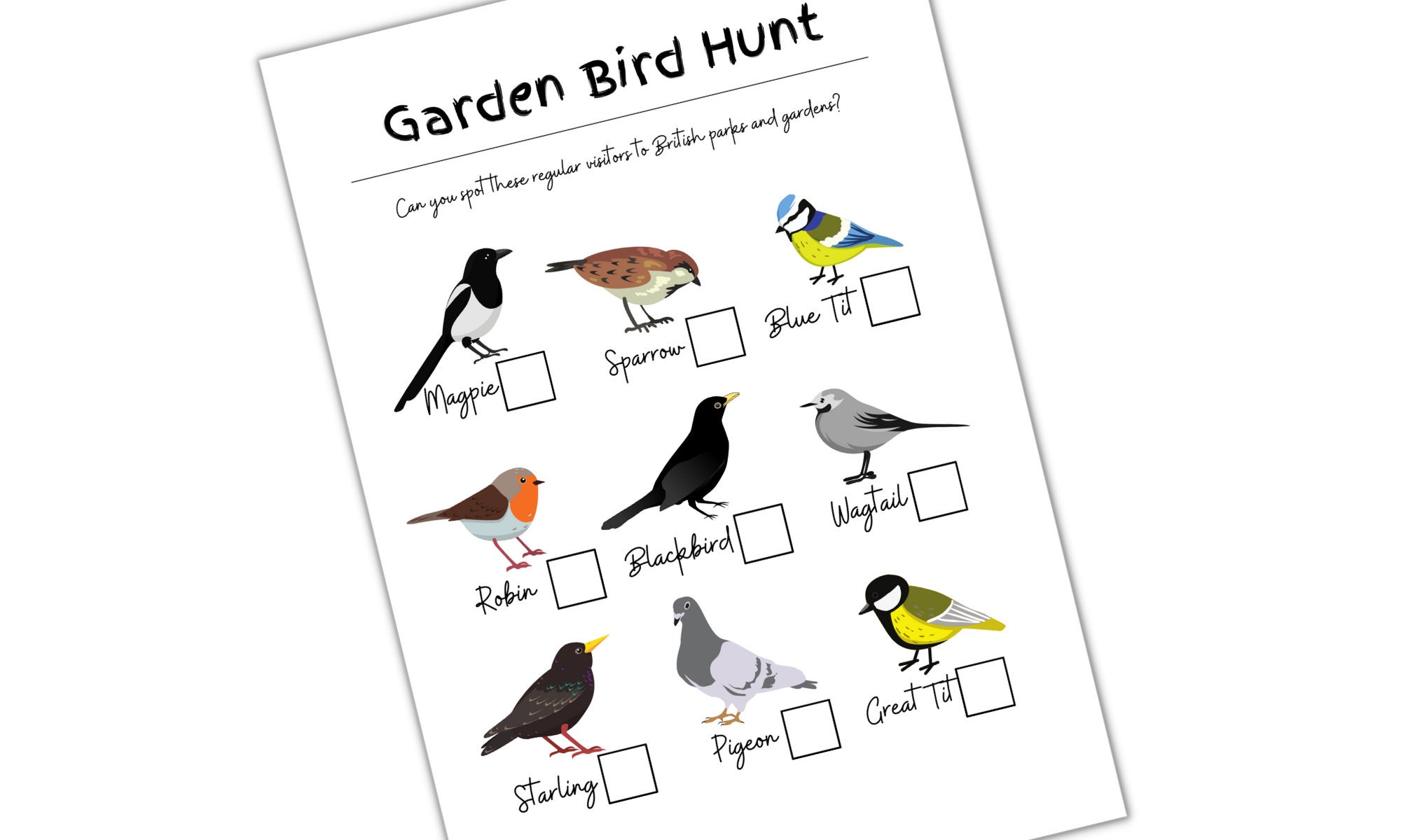 Bird Hunt Printable for Kids I-spy of Common British Garden - Etsy UK