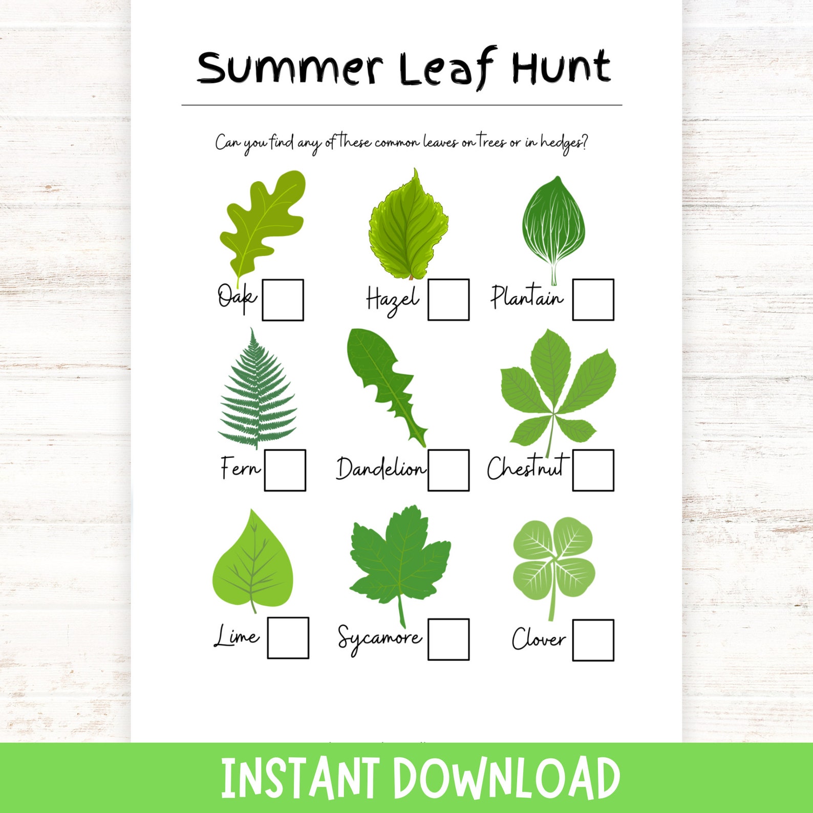 Summer Leaf Scavenger Hunt: Kids' Nature I-spy Game (instant Download ...