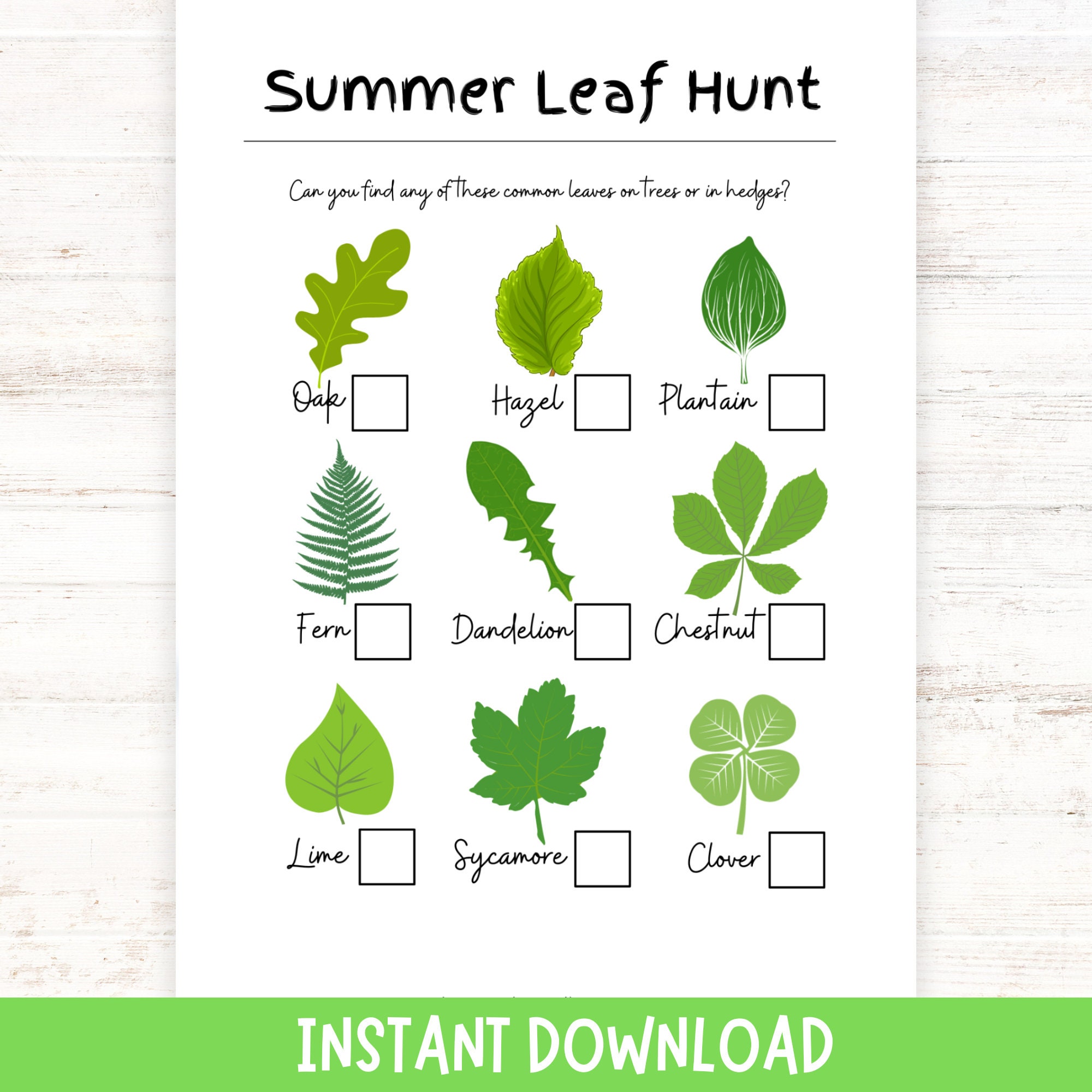 Summer Leaf Scavenger Hunt | Printable Tree I-spy for Kids | Summer ...