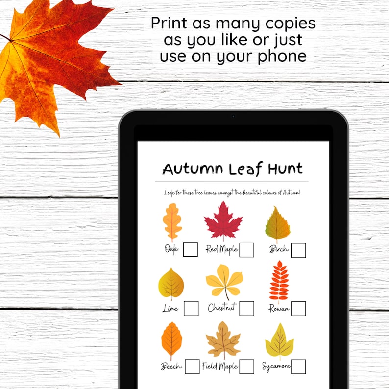 Autumn Leaf Hunt Printable for Kids | Autumn I-spy Nature Game ...