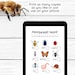 Mini-beast Hunt for Kids | Bug Scavenger Hunt, Insect I Spy Game ...