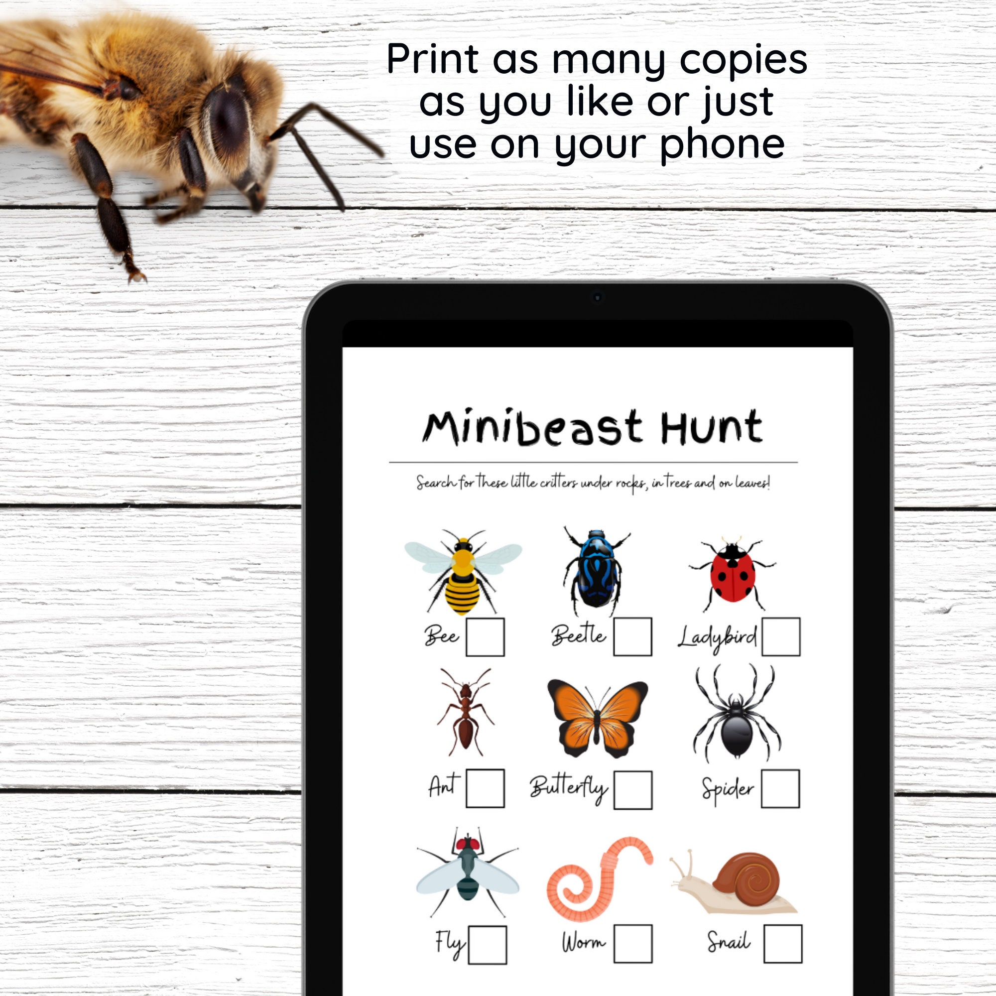 Mini-beast Hunt for Kids | Bug Scavenger Hunt, Insect I Spy Game ...