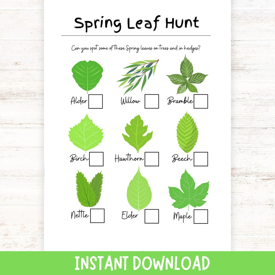 Spring Leaf Hunt | Printable Spring Forest School Scavenger Hunt ...