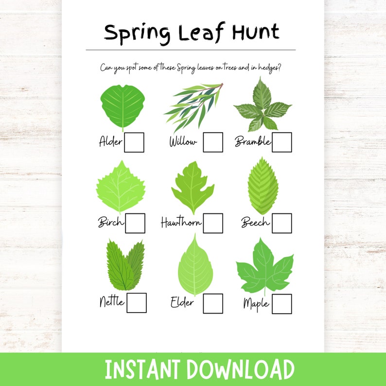 Spring Leaf Hunt | Printable Spring Forest School Scavenger Hunt ...