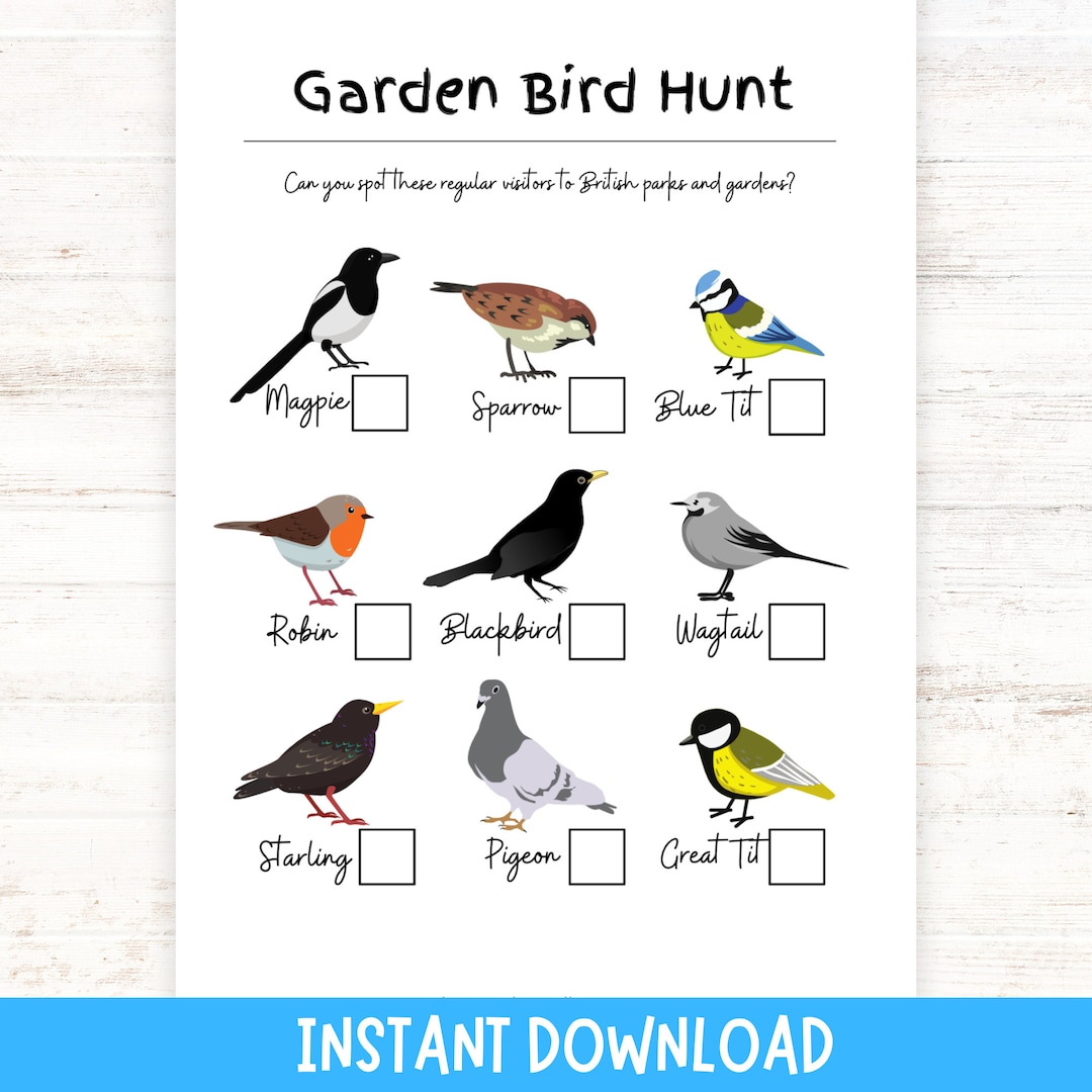 Bird Hunt Printable for Kids | I-spy of Common British Garden Birds - Etsy