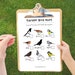 Bird Hunt Printable for Kids | I-spy of Common British Garden Birds - Etsy