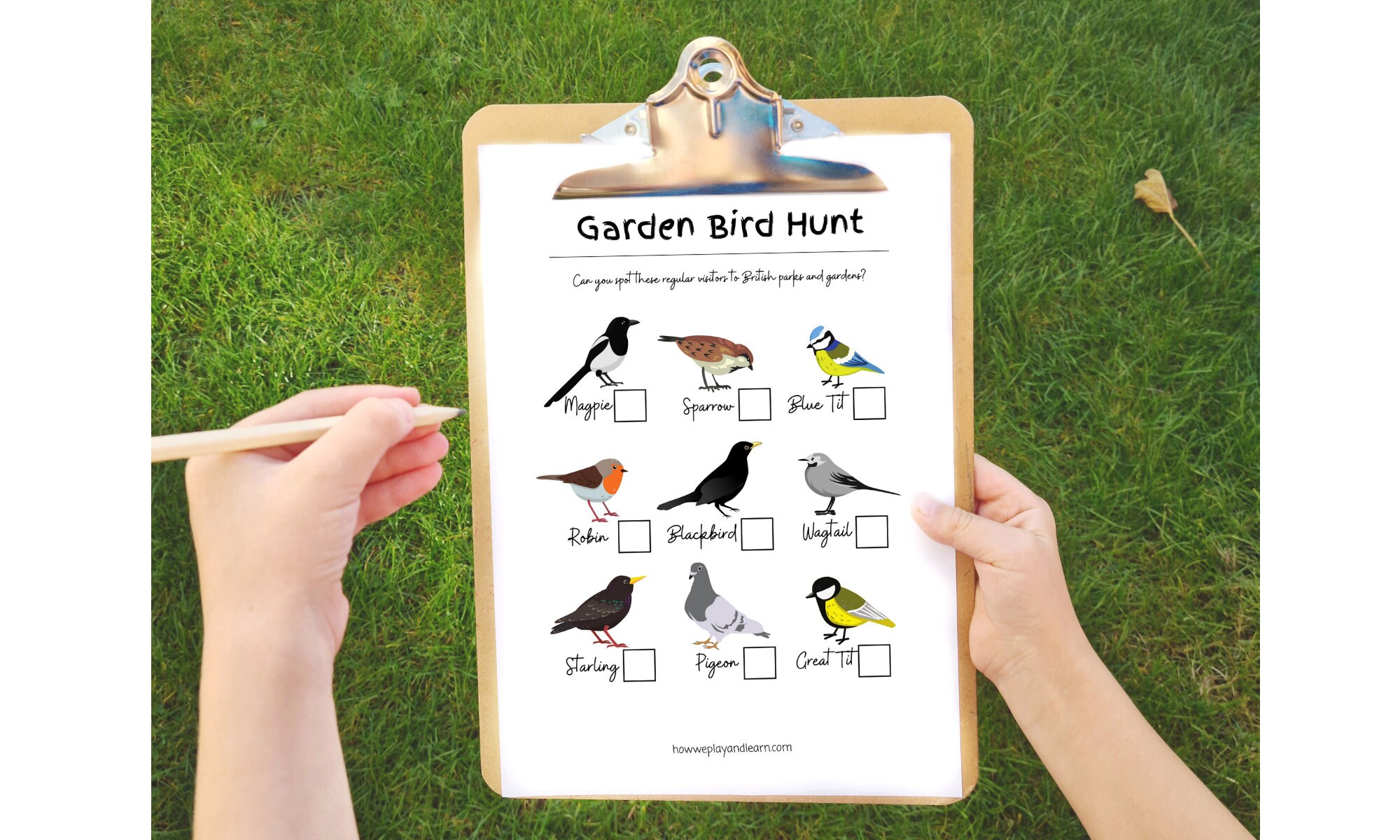 Bird Hunt Printable for Kids | I-spy of Common British Garden Birds - Etsy