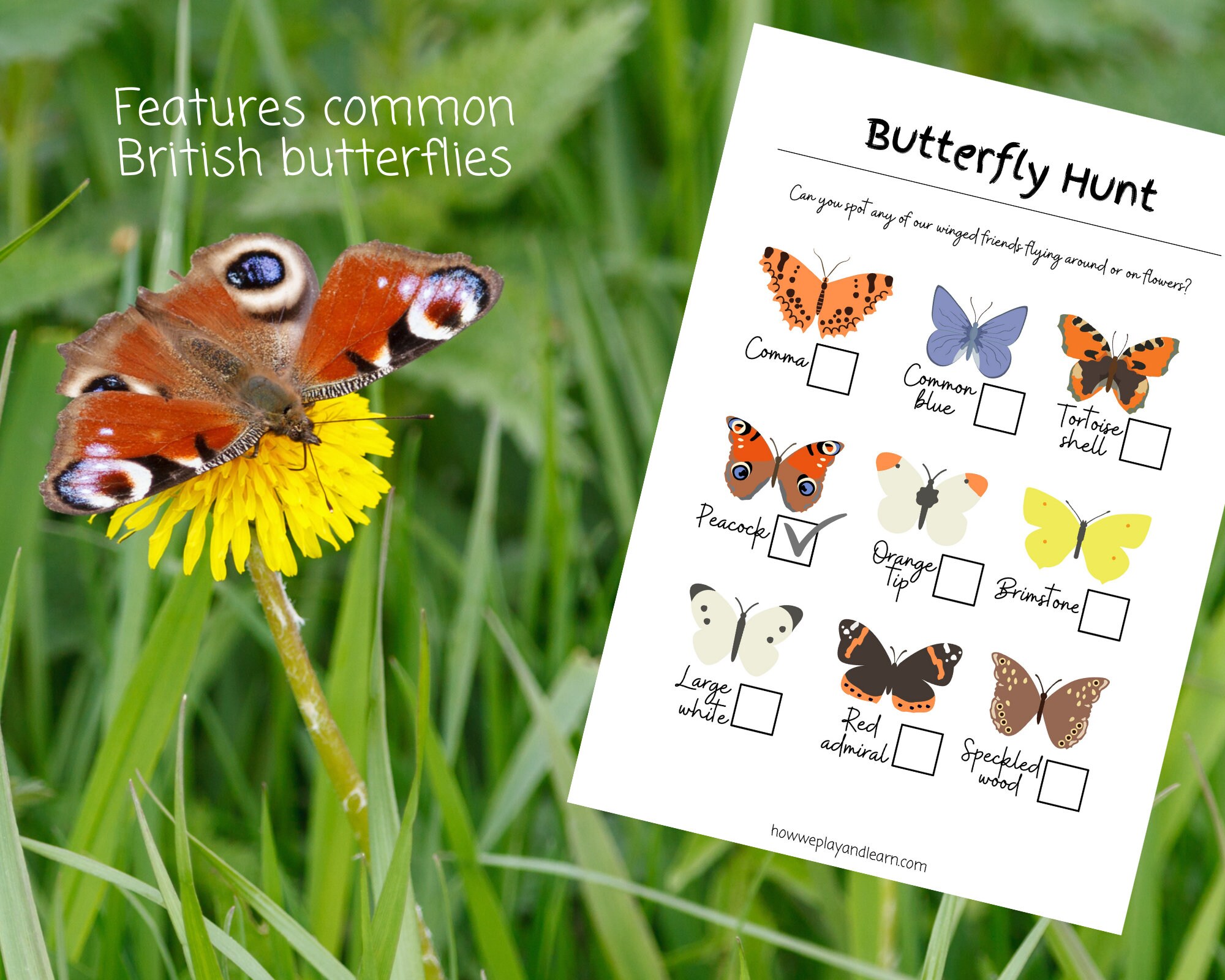 Butterfly Scavenger Hunt | British Butterfly Hunt | Printable Summer ...