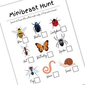 Mini-beast Hunt for Kids | Bug Scavenger Hunt, Insect I Spy Game ...