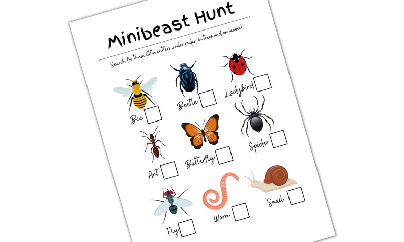 Mini-beast Hunt for Kids | Bug Scavenger Hunt, Insect I Spy Game ...