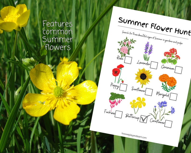 Summer Flower Hunt | British Floral Scavenger Hunt for Kids | Summer ...