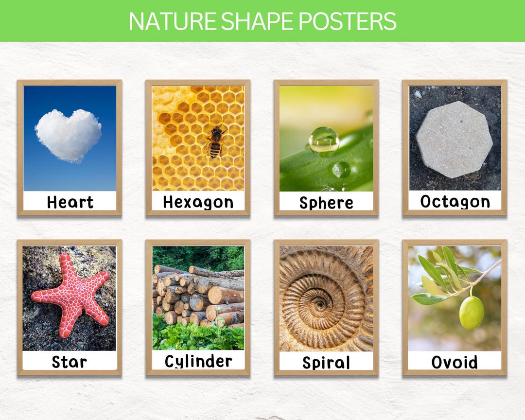 Montessori Nature Shape Posters | Instant Download - Etsy