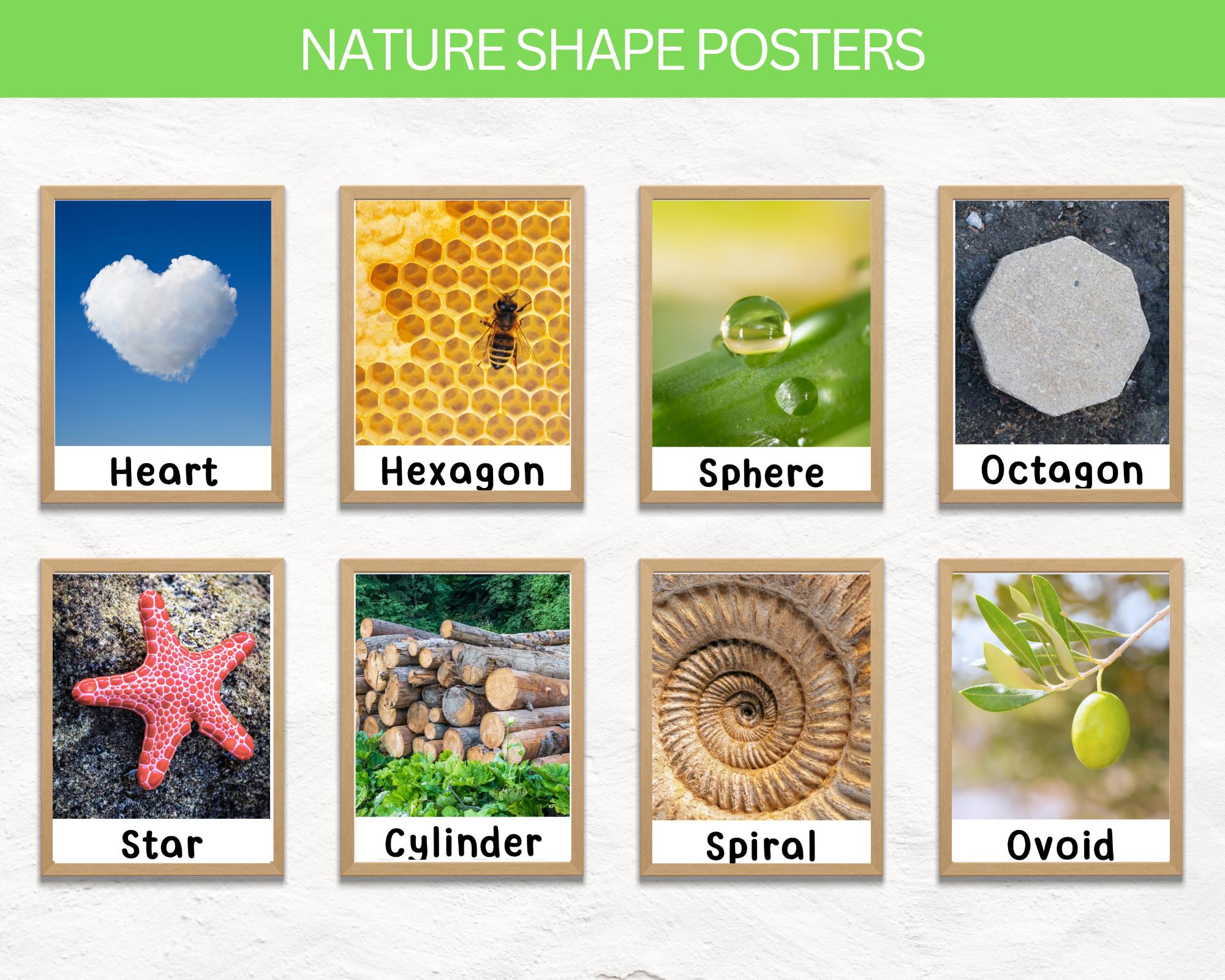 Nature Shape Posters | Montessori Shape Photo Cards | Early Years ...