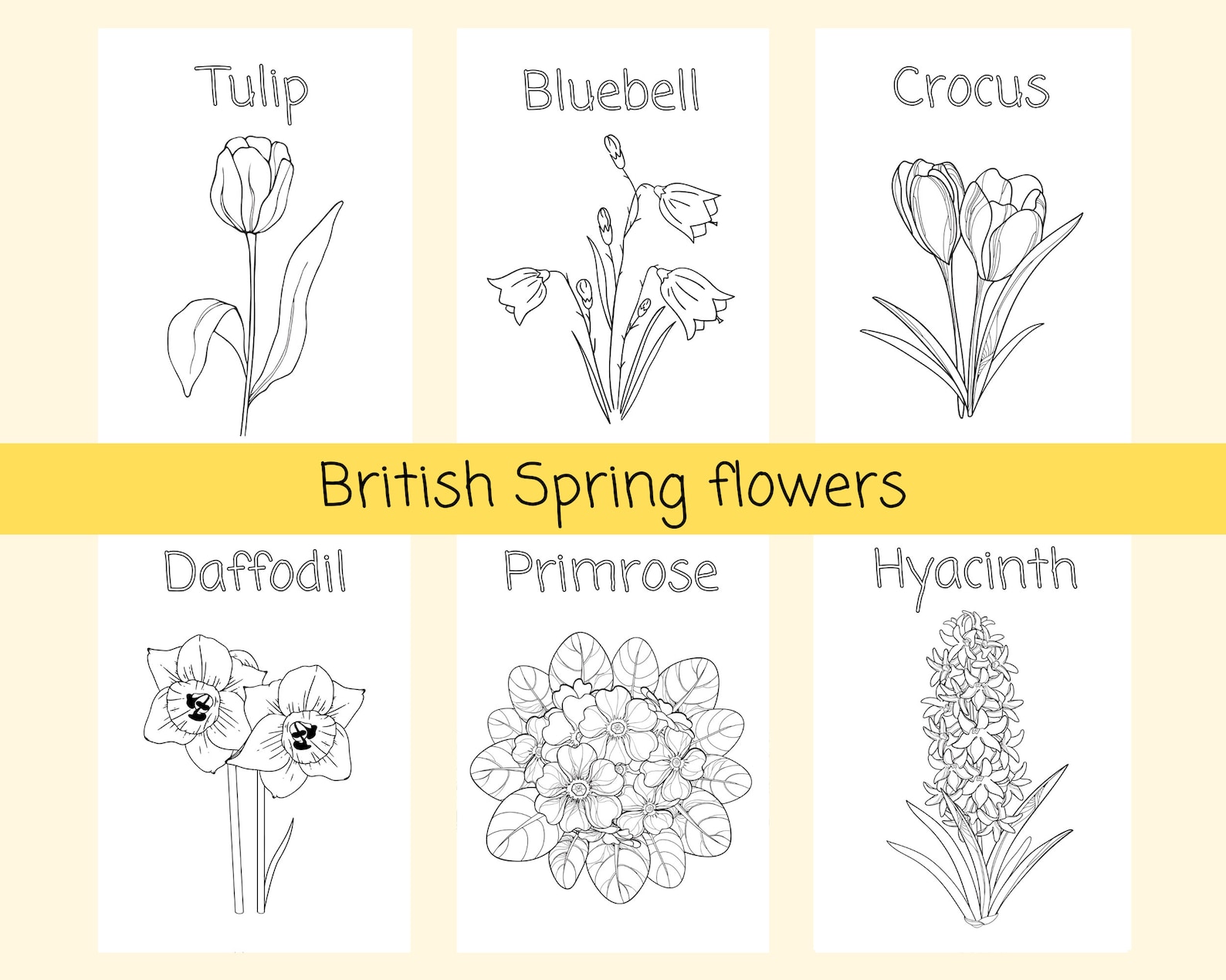 Spring Flower Colouring Pages | Daffodil, Tulip, Primrose, Hyacinth ...