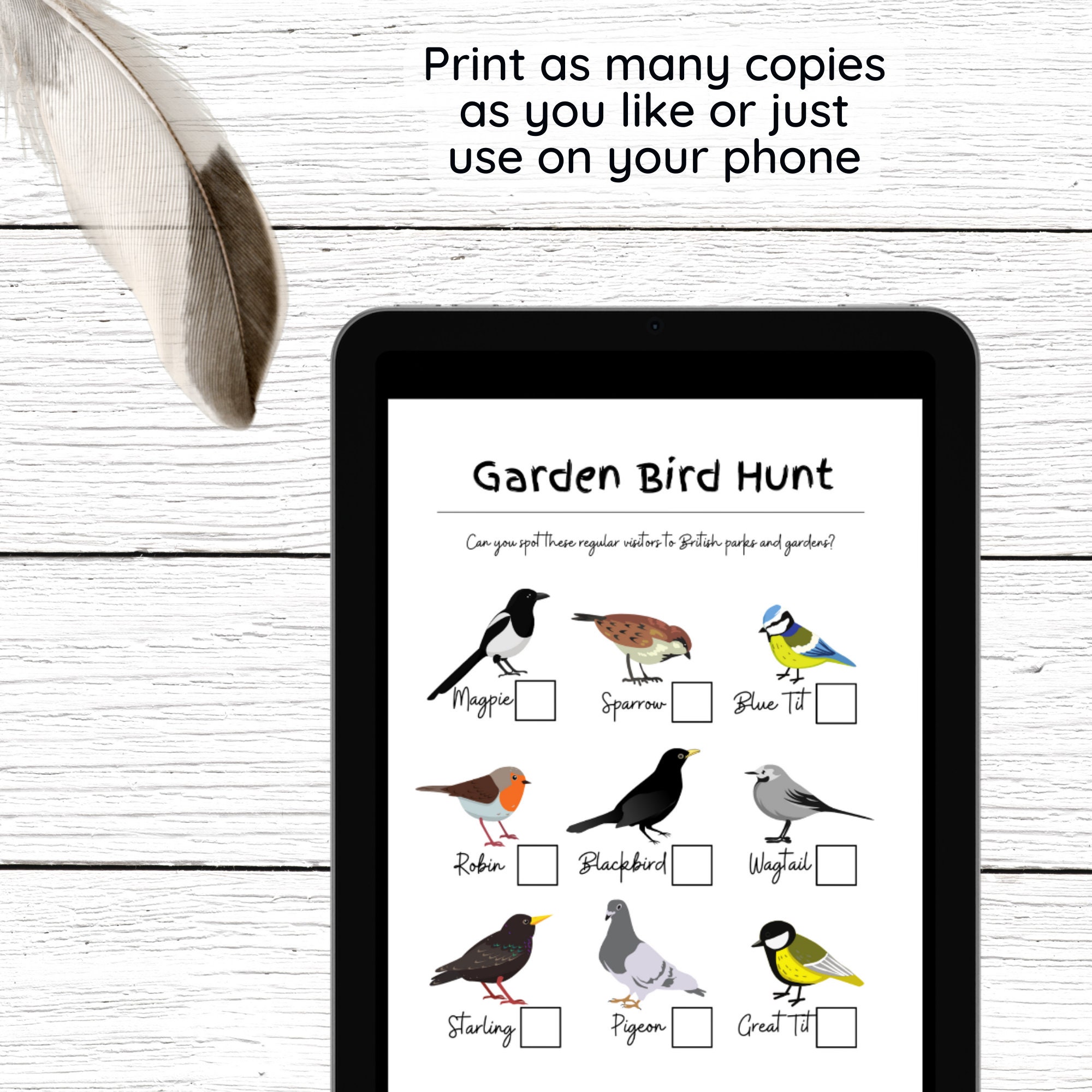 Bird Hunt Printable for Kids I-spy of Common British Garden Birds ...