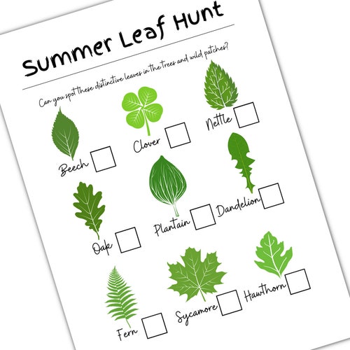 Printable Leaf Identification Nature Scavenger Hunt for Kids | Etsy