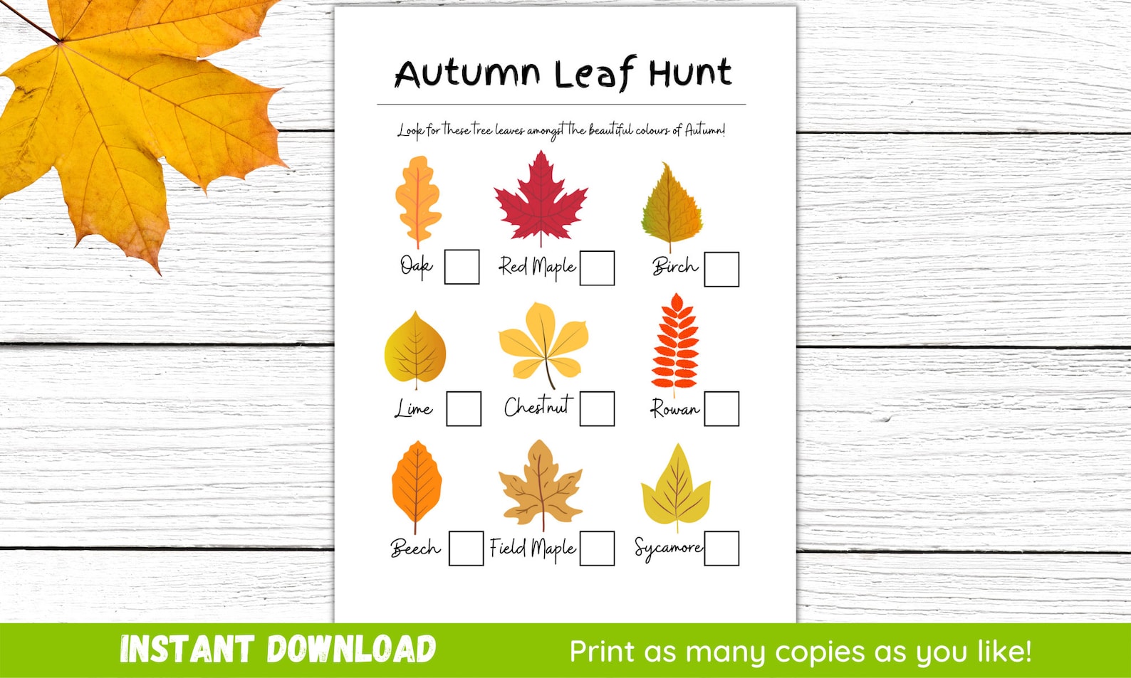Autumn Leaf Hunt Printable for Kids Autumn Fall I-spy Game - Etsy UK