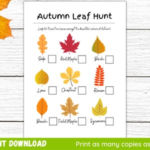 Autumn Leaf Hunt Printable for Kids Outdoor Nature | Etsy