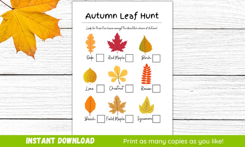 Autumn Leaf Hunt Printable for Kids Autumn I-spy Nature Game - Etsy