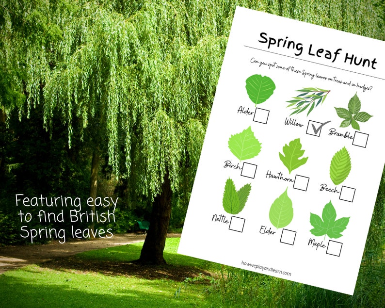 Spring Leaf Scavenger Hunt: Forest School Printable (instant Download ...