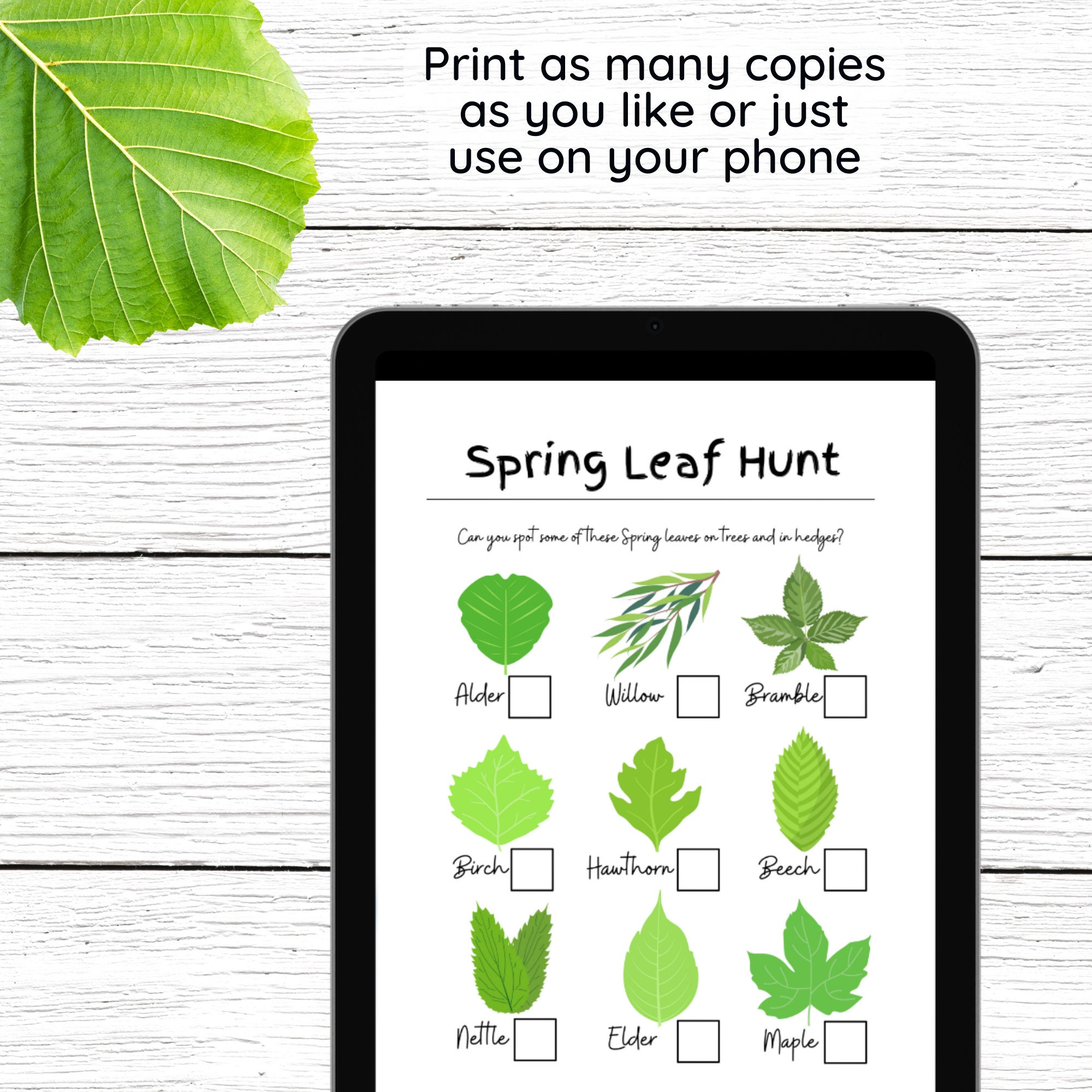 Spring Leaf Hunt | Printable Spring Forest School Scavenger Hunt ...