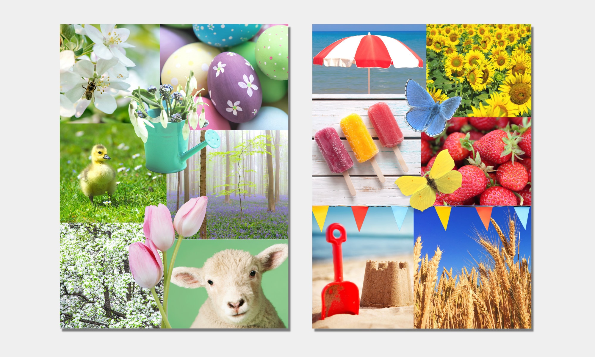 Seasons Photo Collage Posters | Printable Posters of Spring, Summer ...