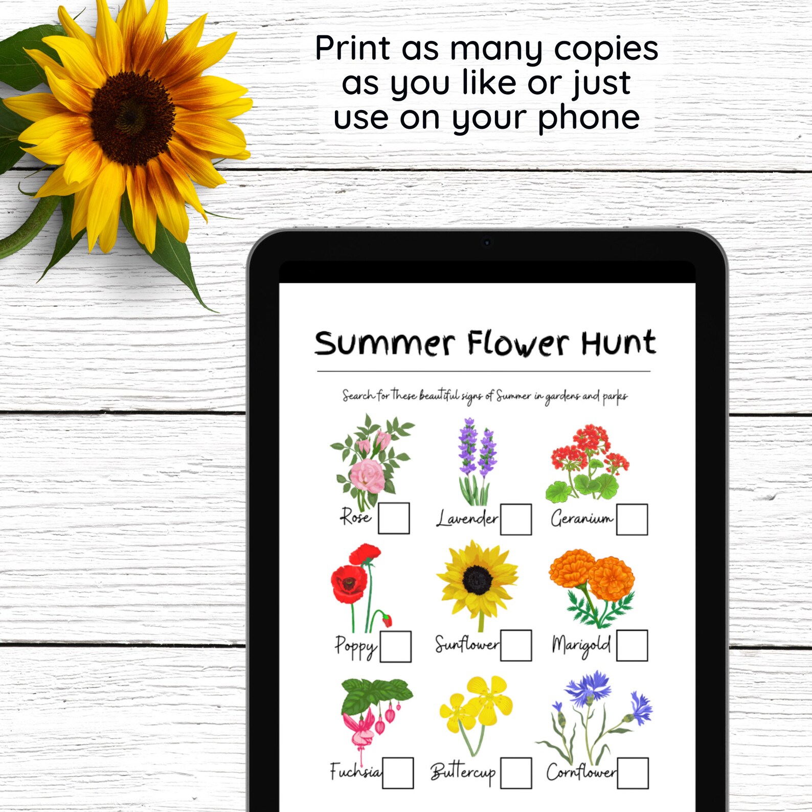 Summer Flower Hunt | British Floral Scavenger Hunt for Kids | Summer ...